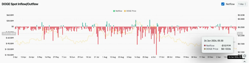 DOGE, SHIB Rally 3%—And Here's Why That Should Terrify Bulls - Benzinga